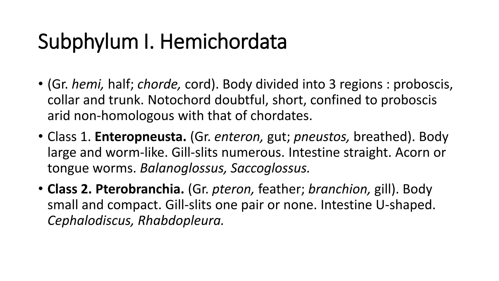 Classification of Phylum: chordates up to class | PPTX