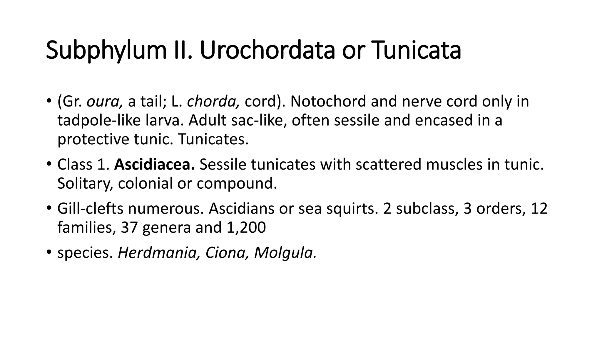 Classification of Phylum: chordates up to class | PPTX