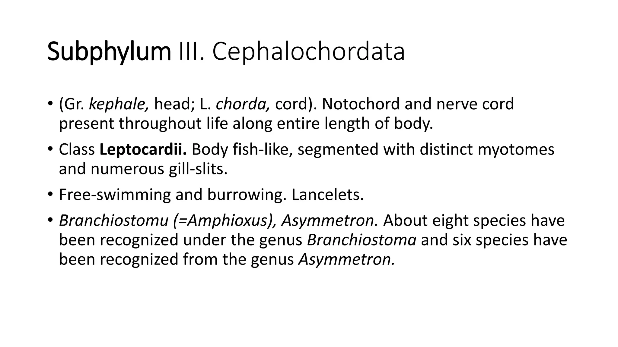 Classification of Phylum: chordates up to class | PPTX