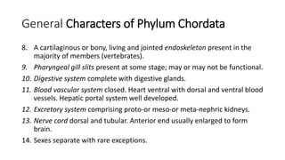 Chordata Phylum Characteristics