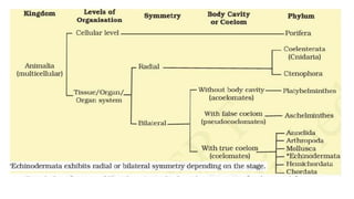 Classification of Phylum: chordates up to class | PPTX