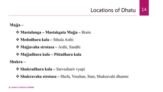 GENERAL CONCEPT OF DHATU | PPTX