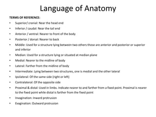 General concepts of anatomy for nursing | PPTX