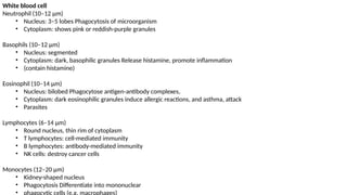 Anatomy of General Connective Tissue.pptx