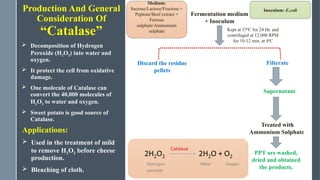 General Consideration and Production of Enzymes (P'ceutical Biotech 6th ...
