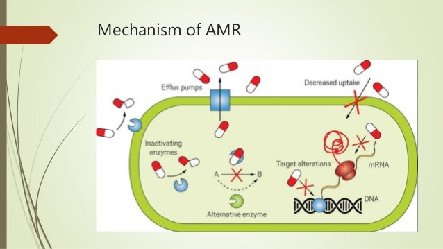 General consideration of antimicrobial agents