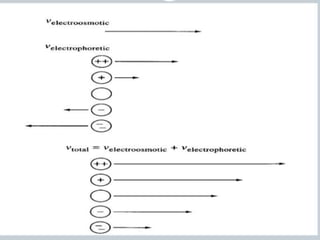 General considerations and method development in ce, | PPTX