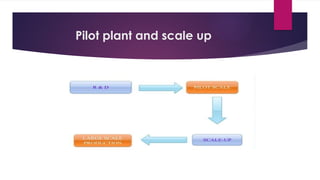 pilot plant scale up for solids general considerationations | PPT
