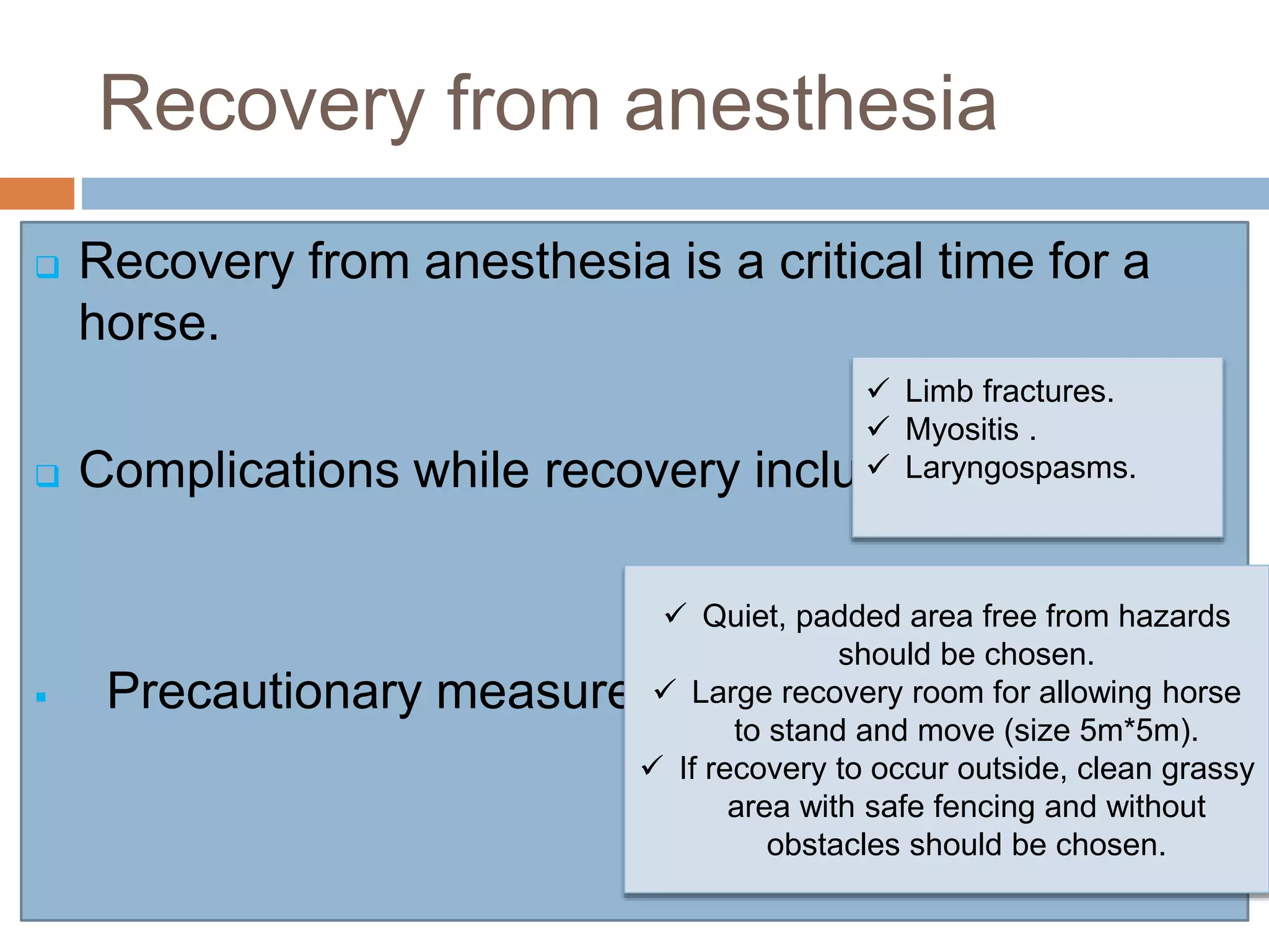 General considerations in large animal anesthesia | PPTX