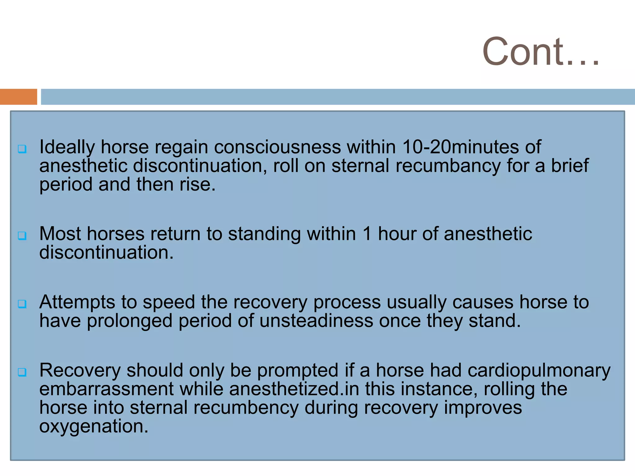 General considerations in large animal anesthesia | PPTX