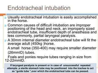 General Considerations In Large Animal Anesthesia Pptx
