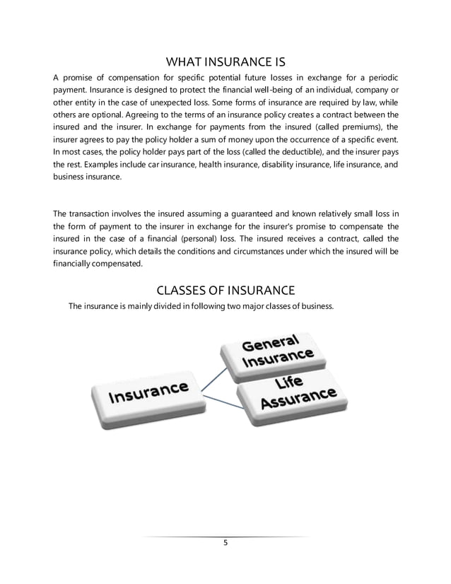 General efu insurance report | DOCX | Life Insurance | Insurance