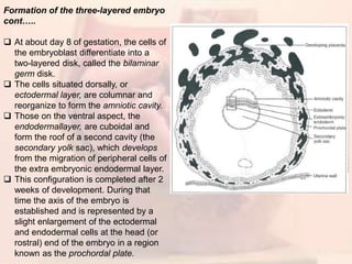 General embryology | PPTX
