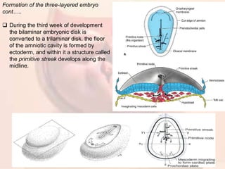 General embryology | PPTX