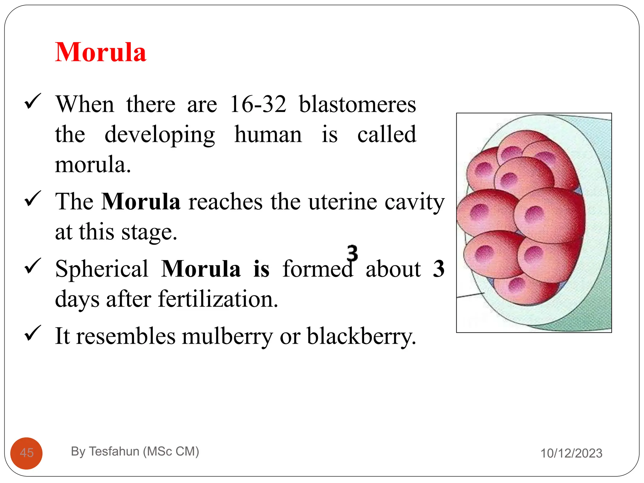 General Embryology.pptx