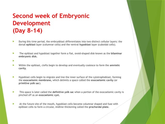 GENERAL EMBRYOLOGY embrology notes111.pptx | Free Download