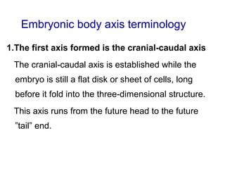 General embryology introduction ( chapter 1) | PPT