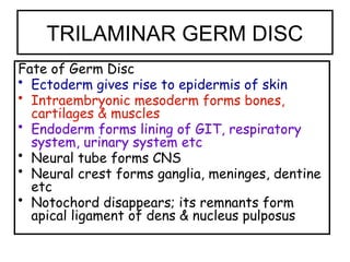 general embryology of charts - Copy-1.pptx