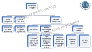 General Endocrinology and mechanism of action of hormones | PDF