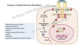General Endocrinology and mechanism of action of hormones | PDF