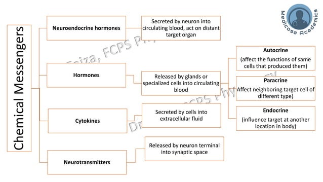 General Endocrinology and mechanism of action of hormones | PDF ...