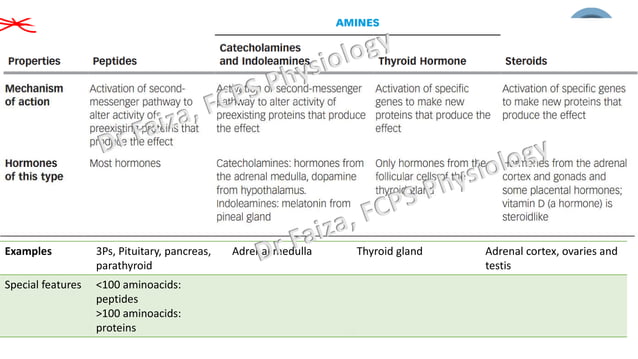 General Endocrinology and mechanism of action of hormones | PDF ...
