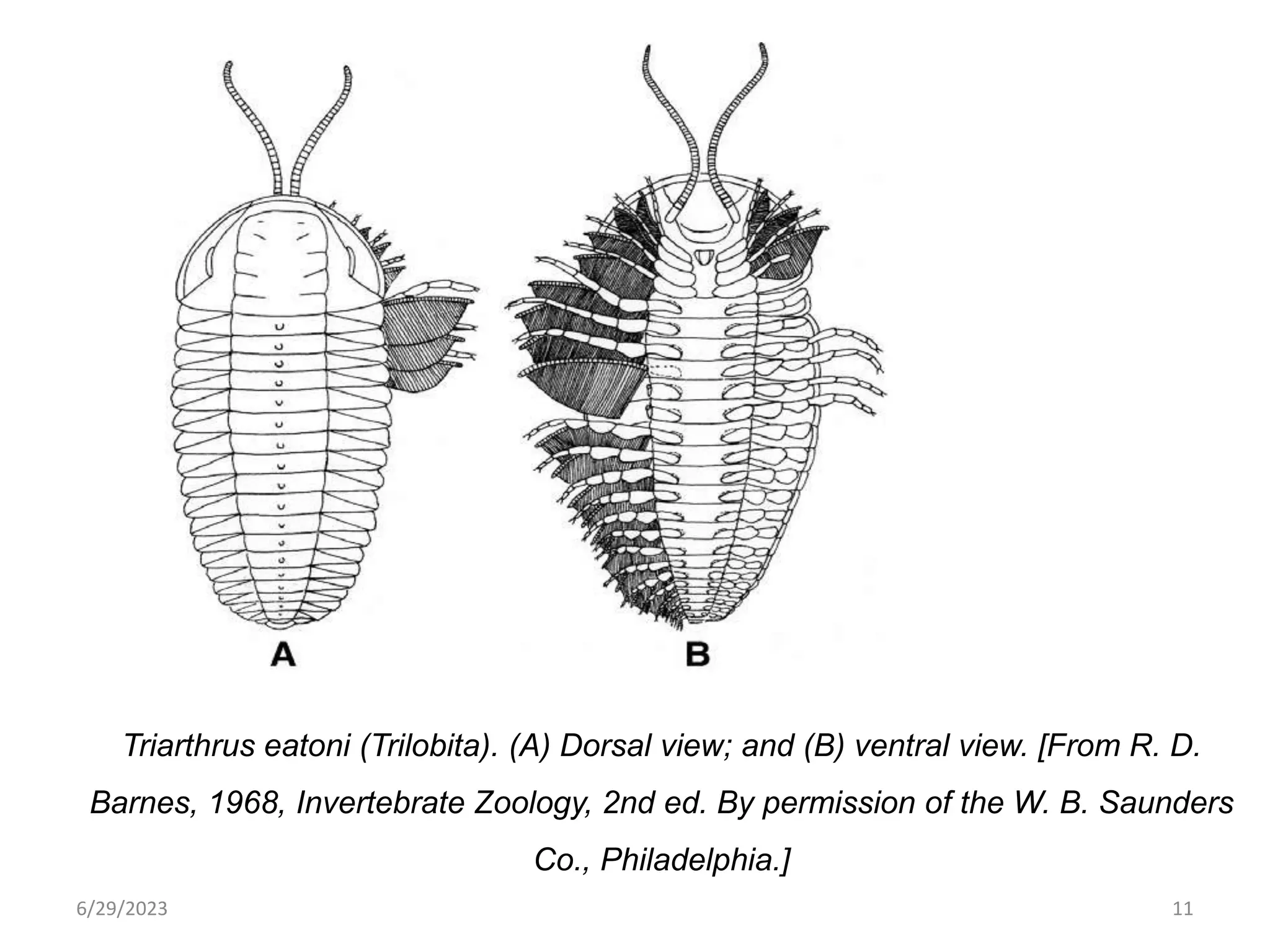 General entomology edited New.pptx
