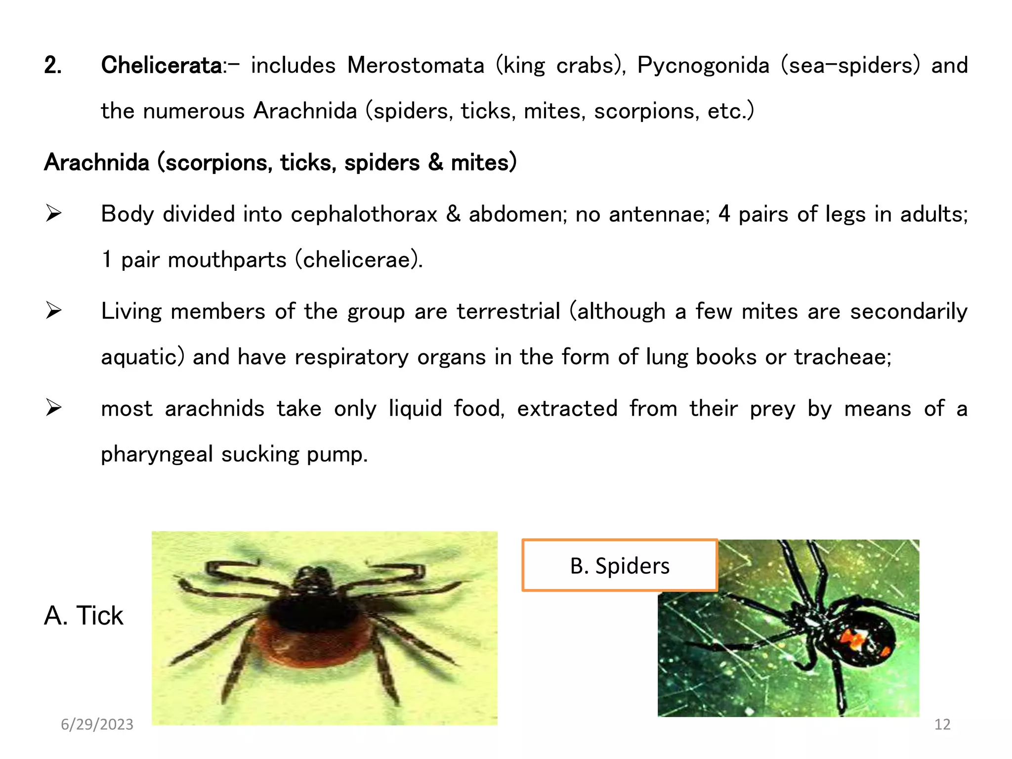 General entomology edited New.pptx