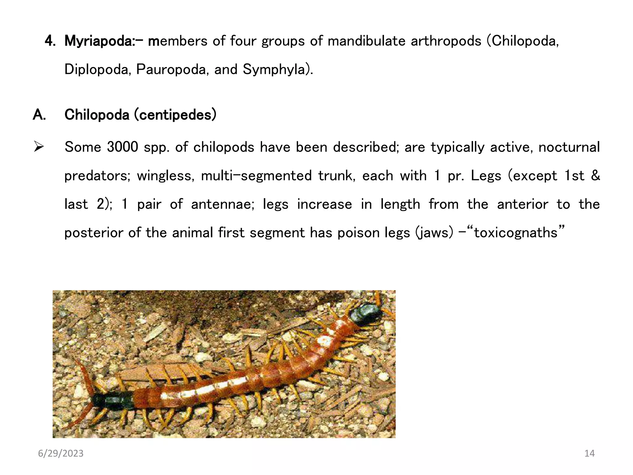 General entomology edited New.pptx | Biological Sciences | Science