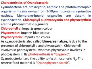 General features and structure of cyanobacteria | PPT