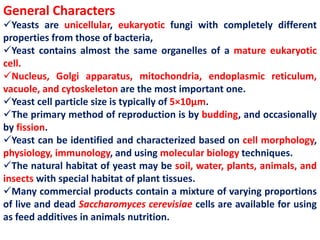Yeast Cell Structure