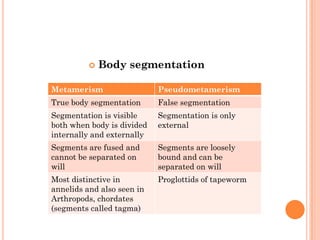 General features of animals, biodiversity, biology | PDF