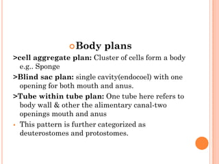 General features of animals, biodiversity, biology | PDF