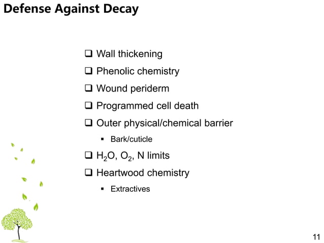 General features of white rot and brown rot fungi | PPTX | Woodworking ...