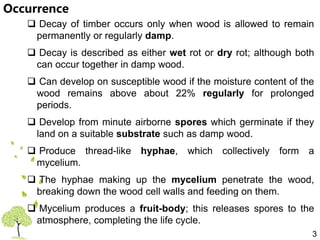 General features of white rot and brown rot fungi | PPTX