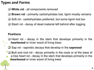 General features of white rot and brown rot fungi | PPTX