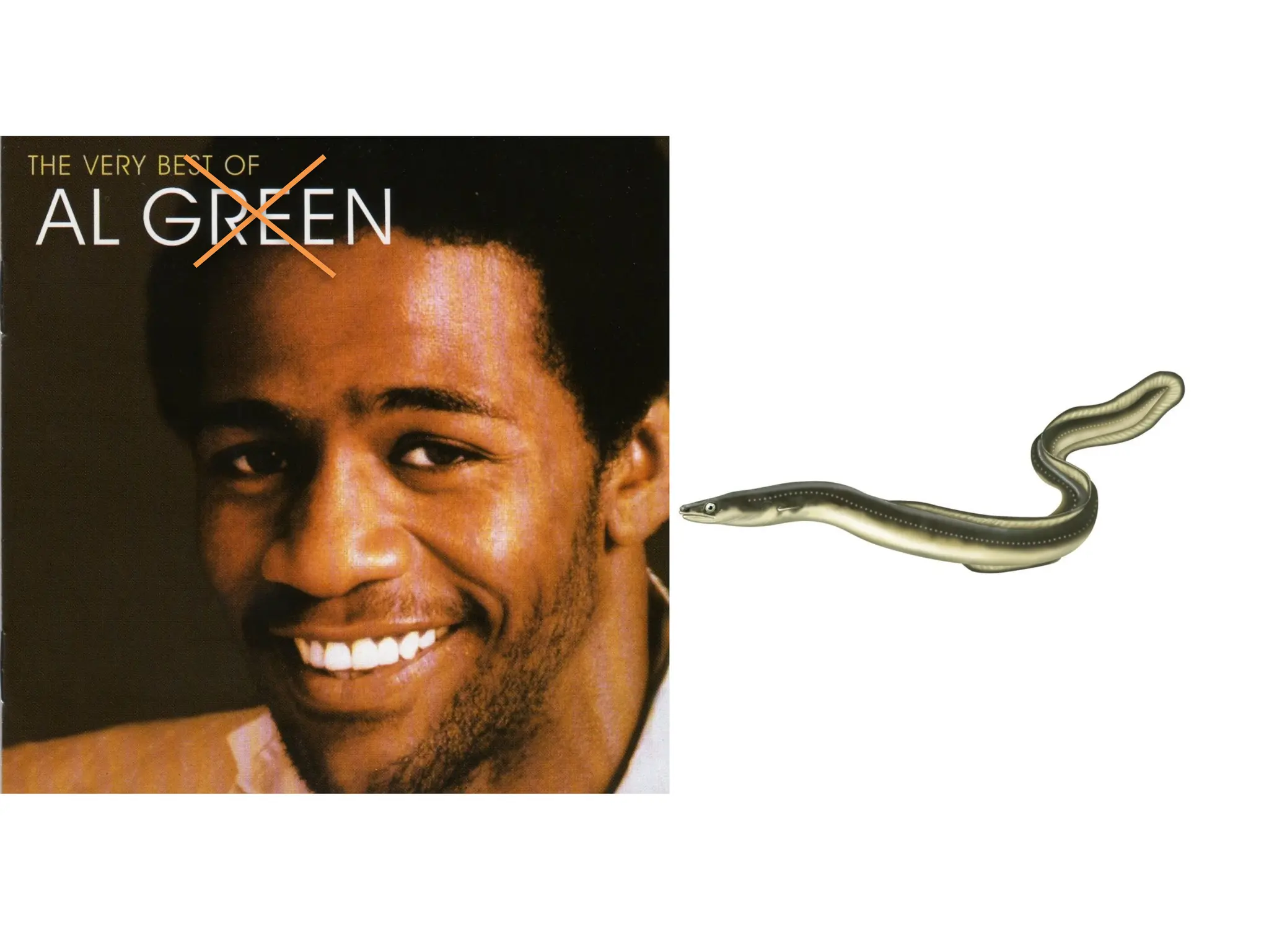 A level biology general Genetics dingbats.ppt.pptx