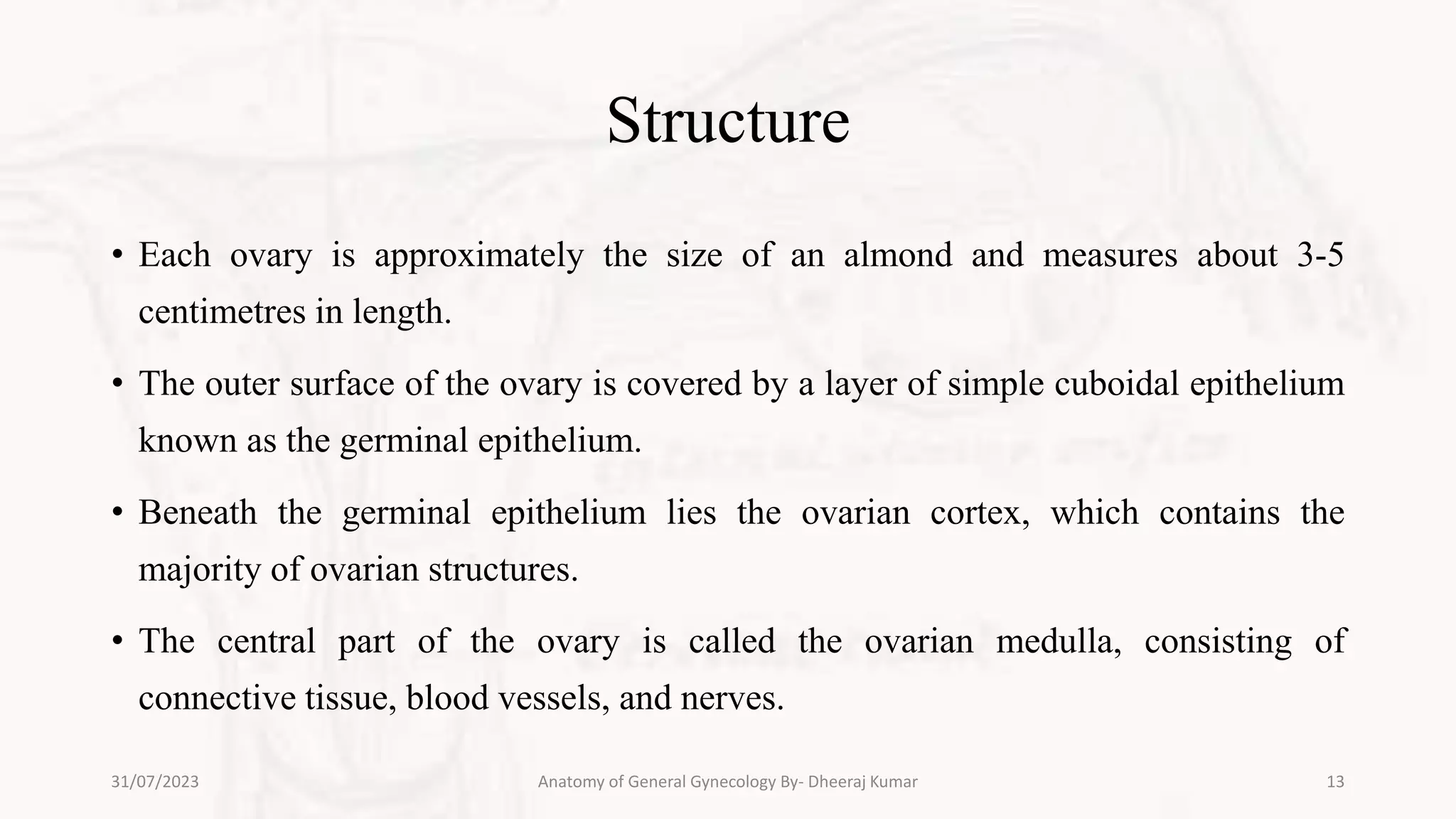 anatomy of general gynecology.pptx
