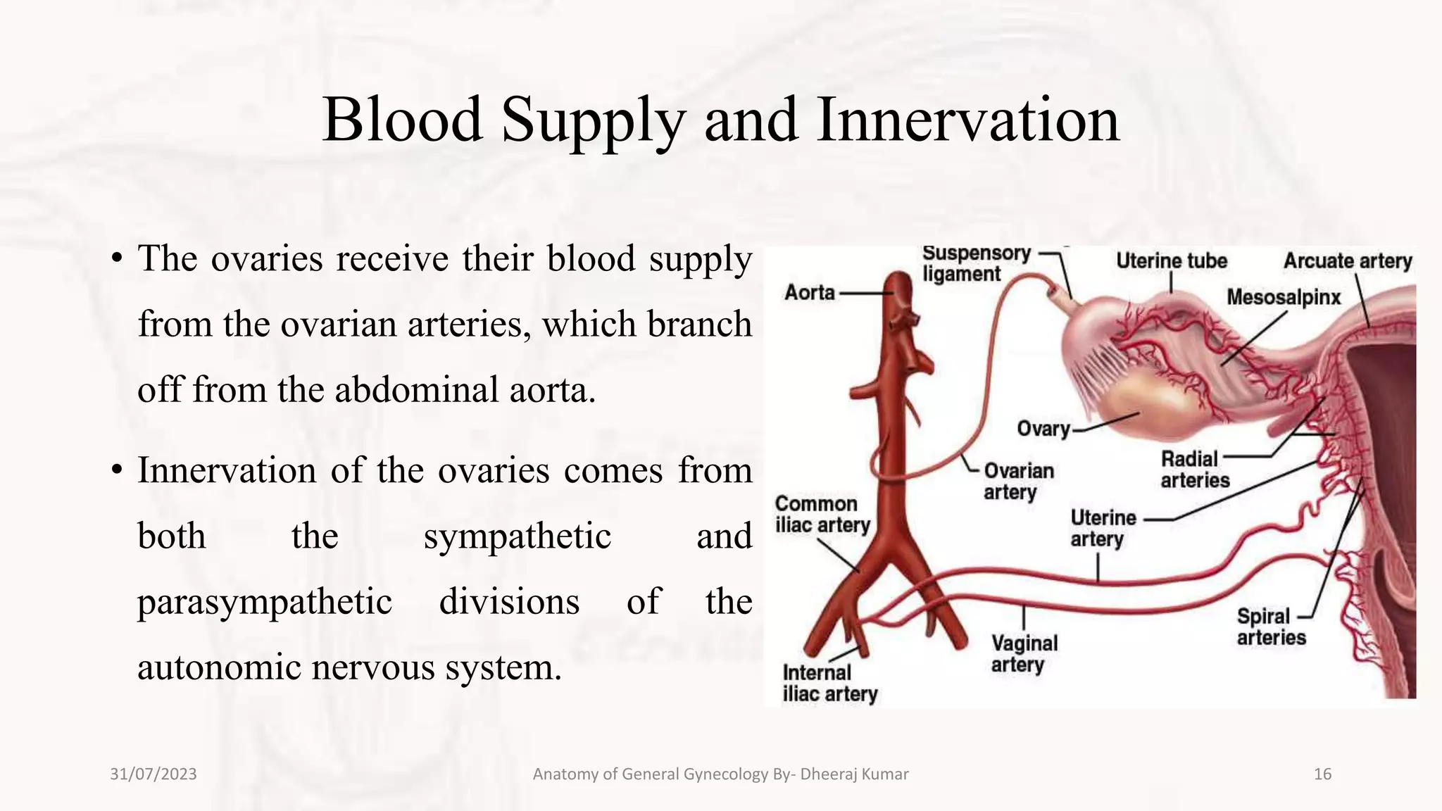 anatomy of general gynecology.pptx
