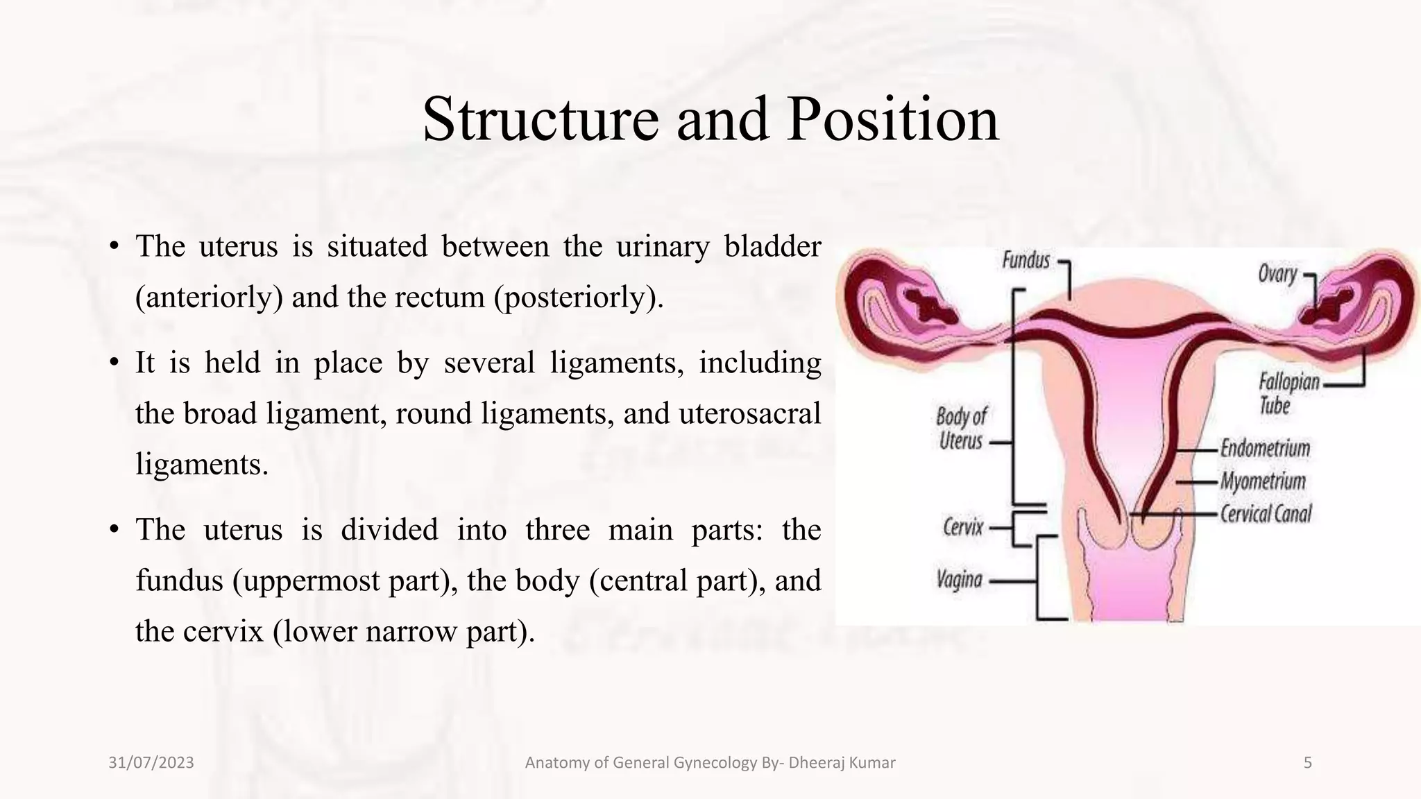 anatomy of general gynecology.pptx