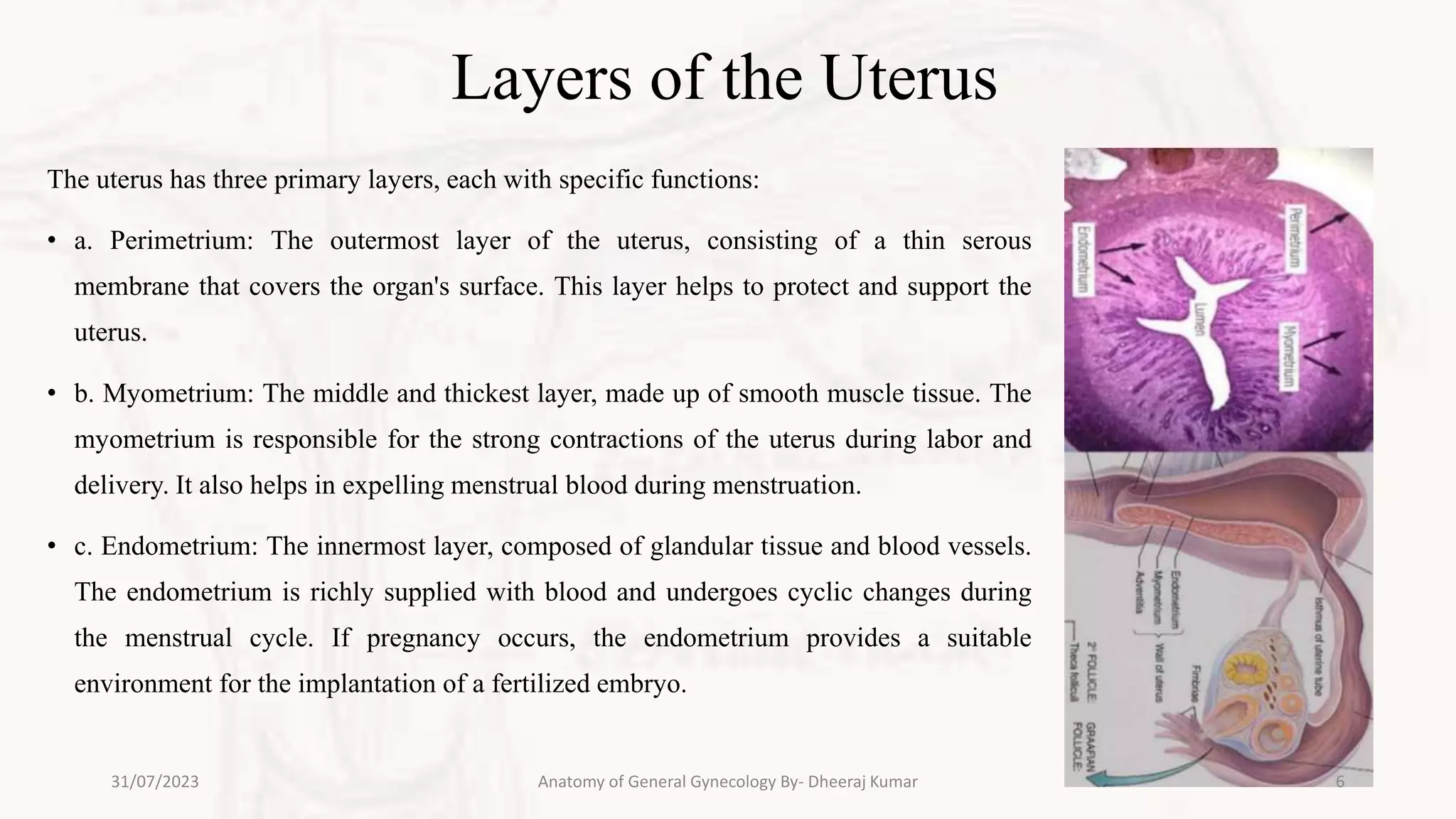 anatomy of general gynecology.pptx