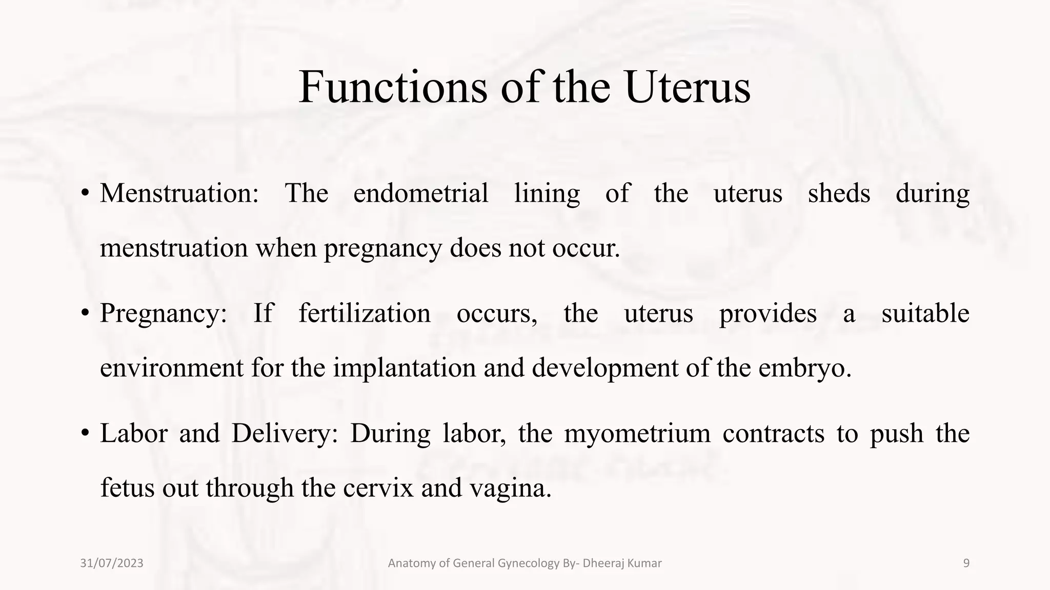 anatomy of general gynecology.pptx
