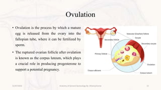 anatomy of general gynecology.pptx