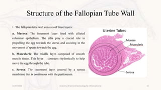 anatomy of general gynecology.pptx