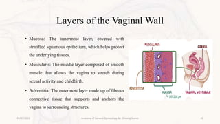 anatomy of general gynecology.pptx