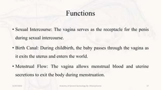 anatomy of general gynecology.pptx