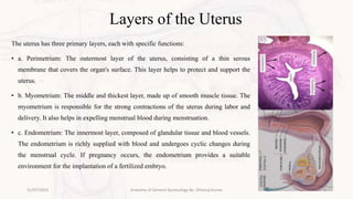 anatomy of general gynecology.pptx