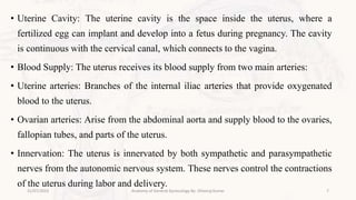 anatomy of general gynecology.pptx