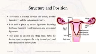 anatomy of general gynecology.pptx
