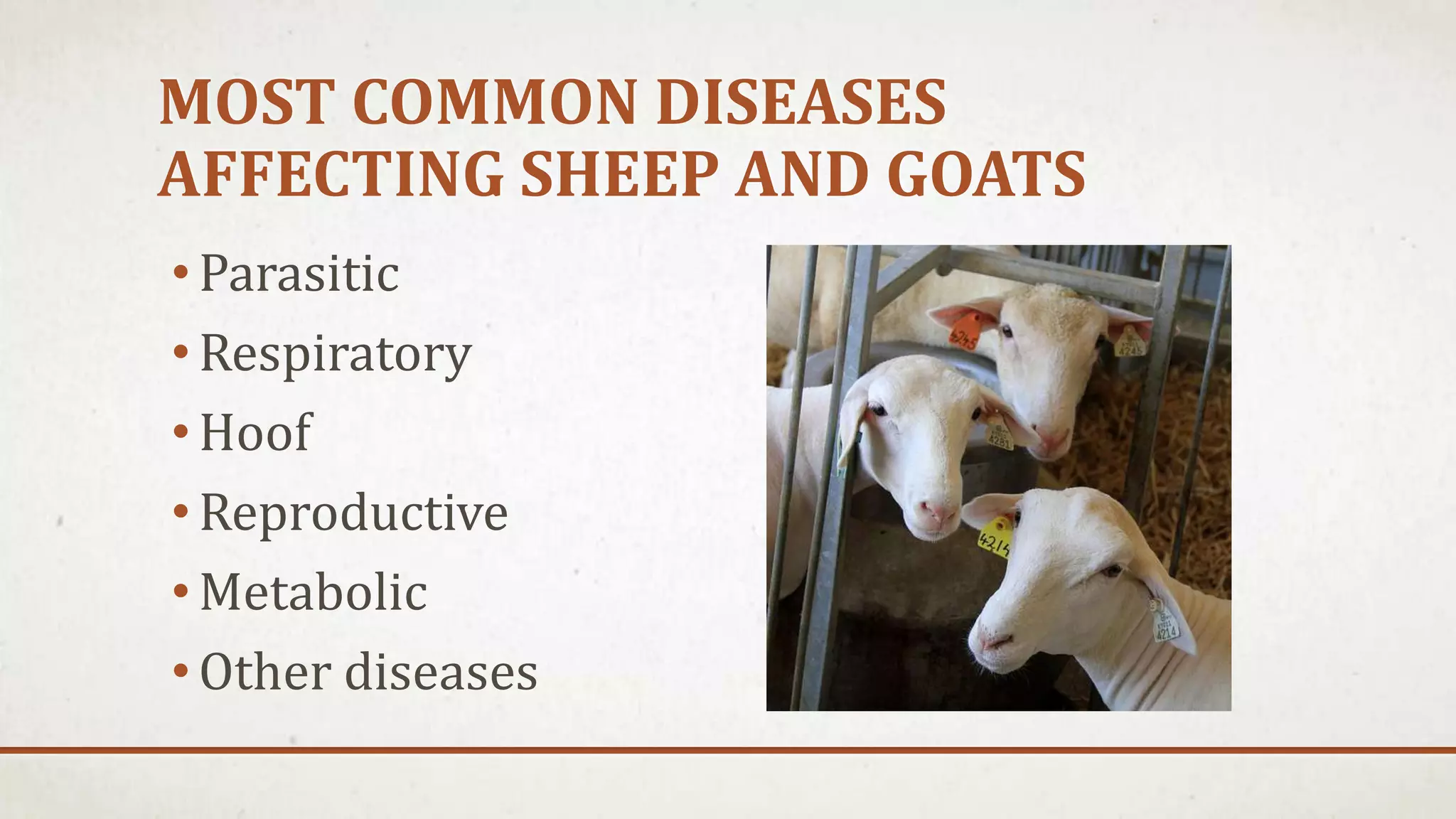 General Health Problems of Sheep/Goats | PPTX